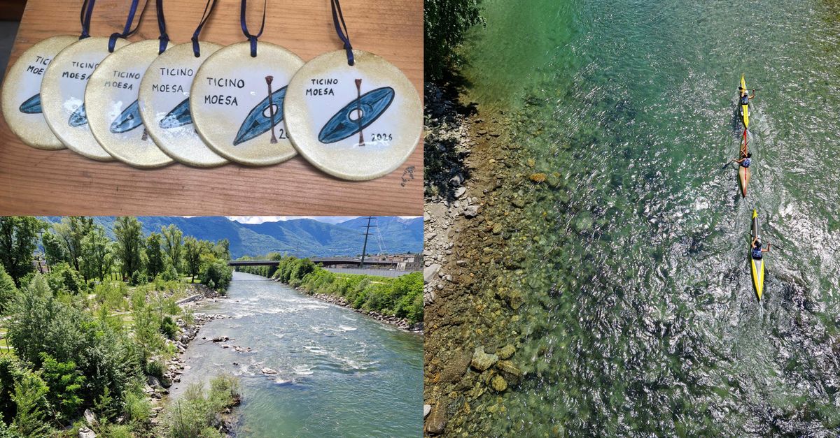 Eine Medaille und viel Pech für das Schweizer Team in Banja Luka ...
